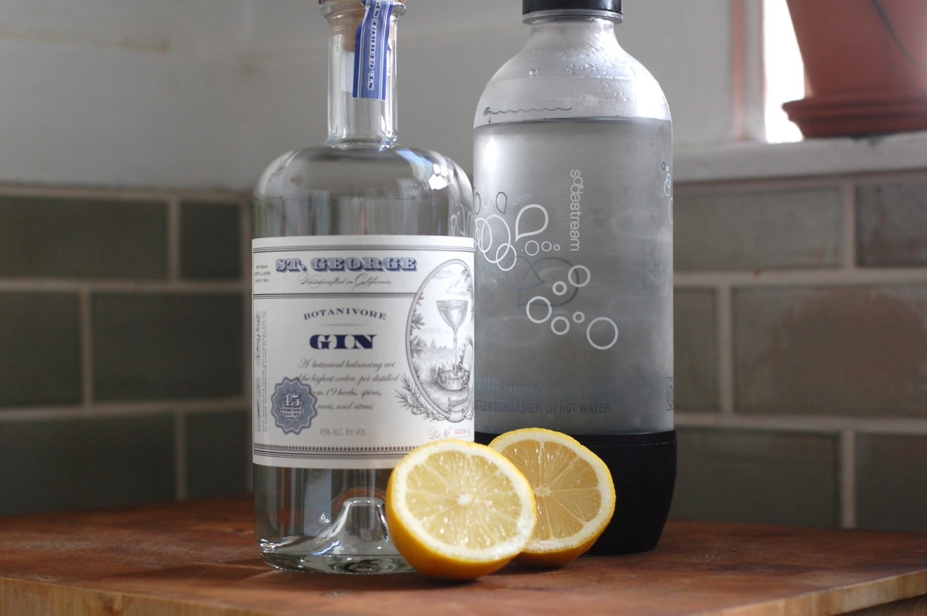 Building Your Bar – Gin – Imbibe Journal